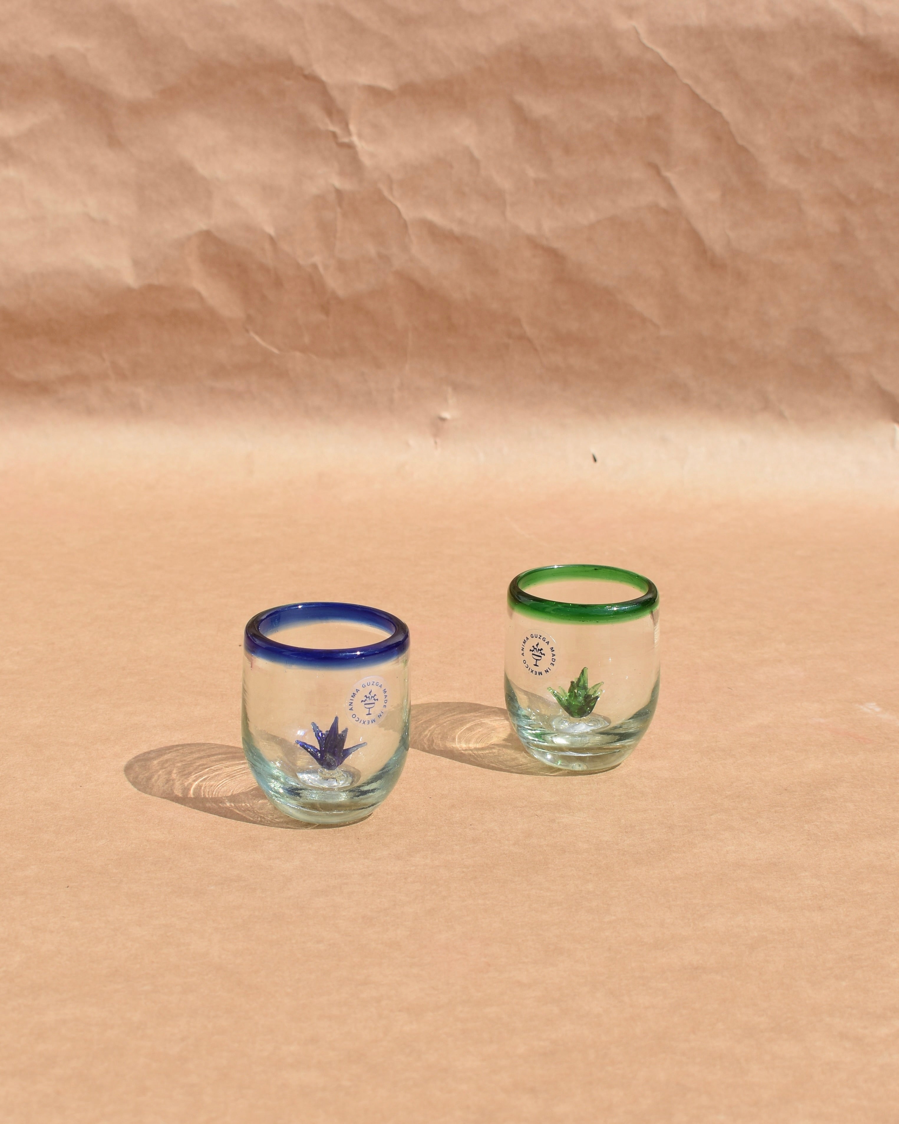 Mexican Agave Decorated Shot Glass | Anima Guzga